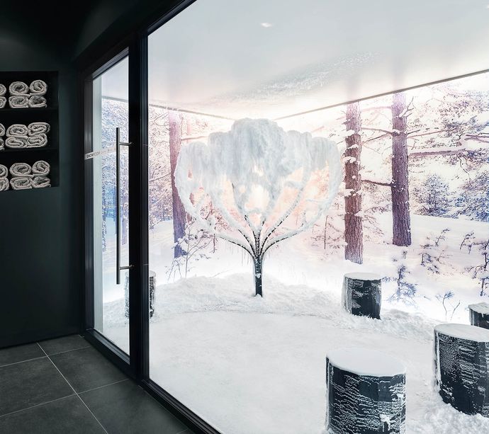 Snow Room - 𝐂𝐄𝐓 𝐁𝐮𝐢𝐥𝐝𝐢𝐧𝐠